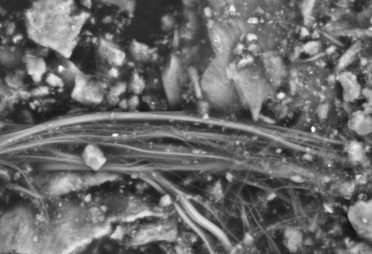 Asbestos + free crystalline silica testing - Scope Geo